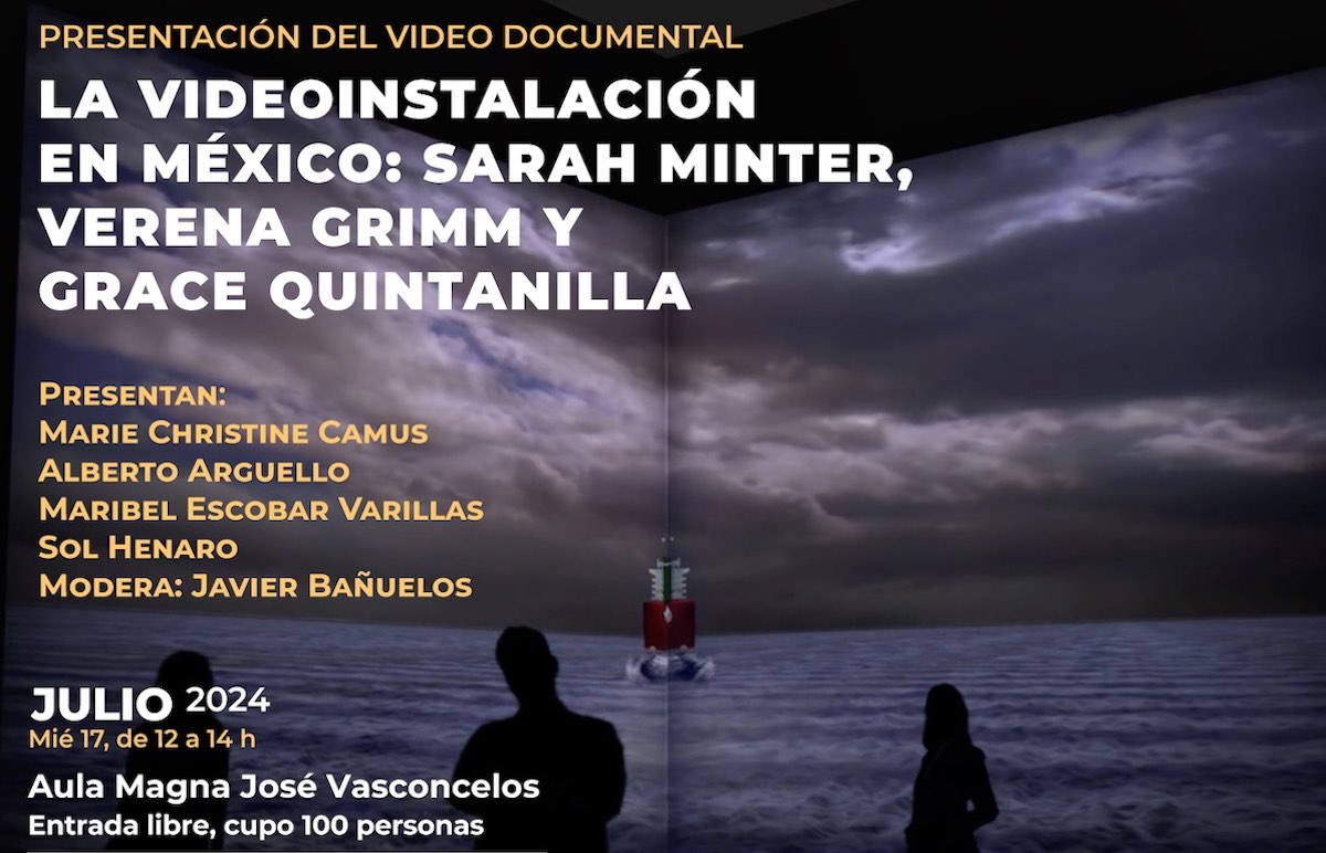 La videoinstalación en México: Sarah Minter, Verena Grimm y Grace ...