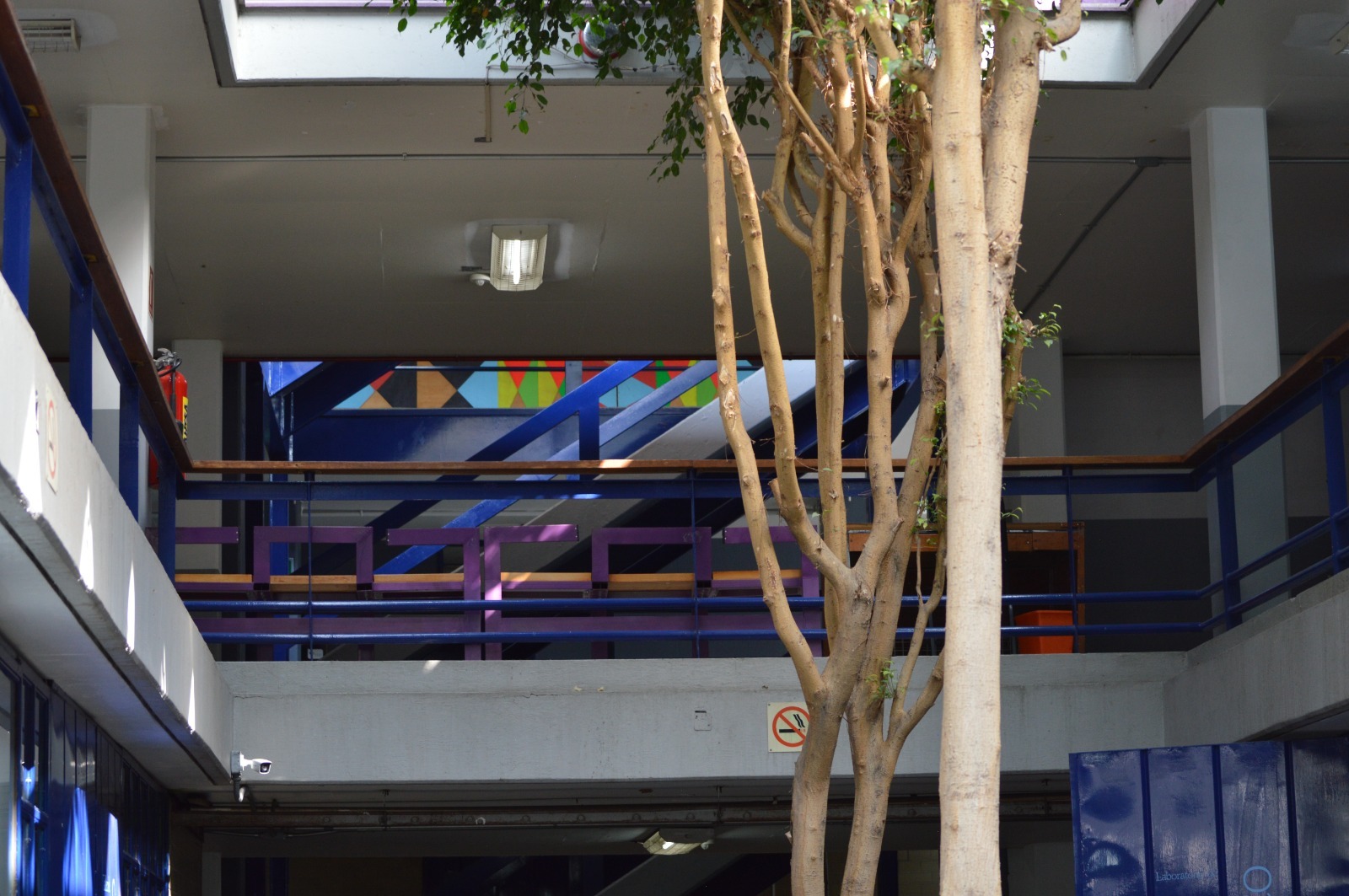 Cumple la Escuela de Diseño 62 años formando profesionistas en México ...