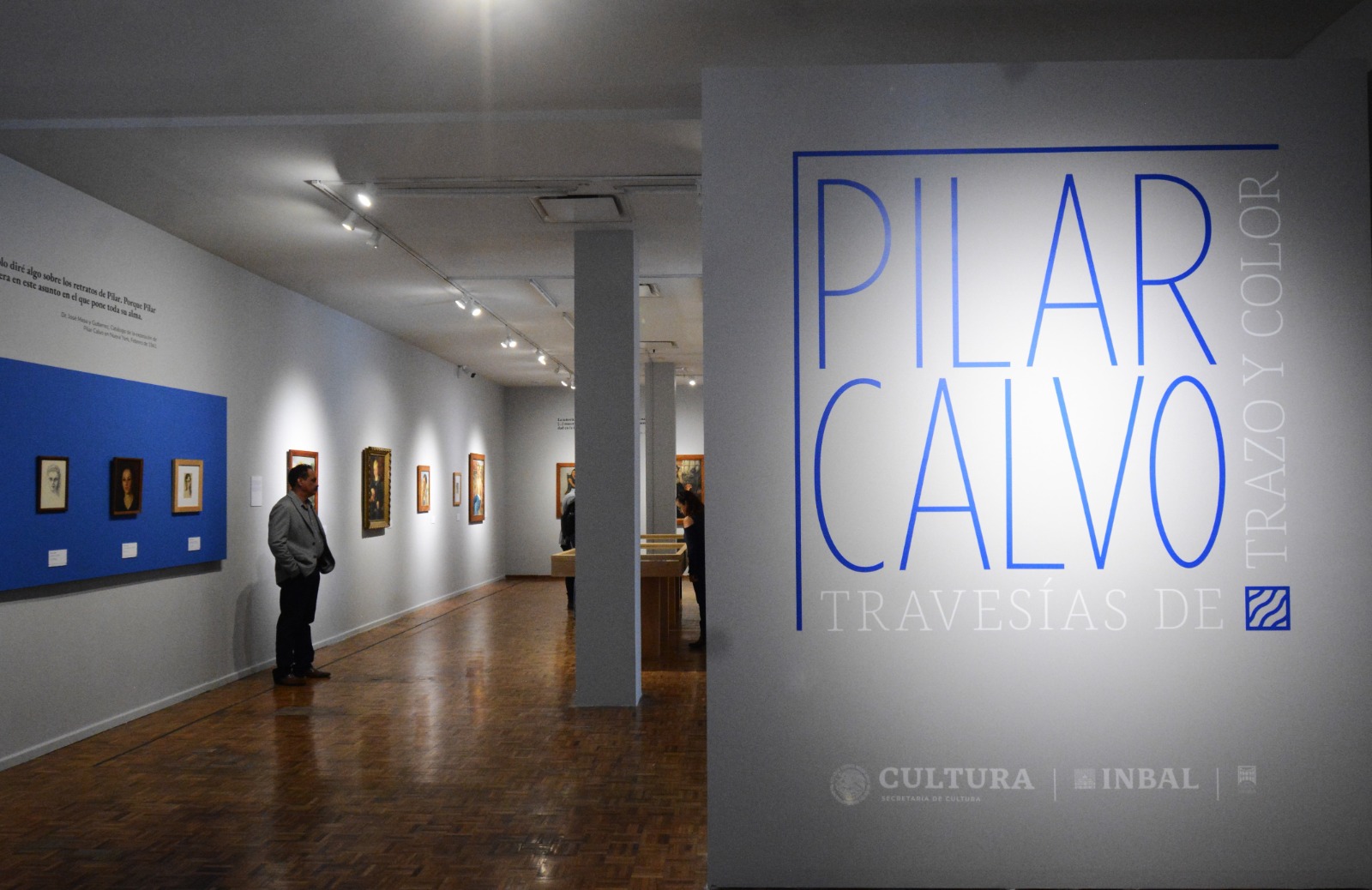 PILAR CALVO. TRAVESÍAS DE TRAZO Y COLOR: EXPOSICIÓN EN EL MUSEO ...