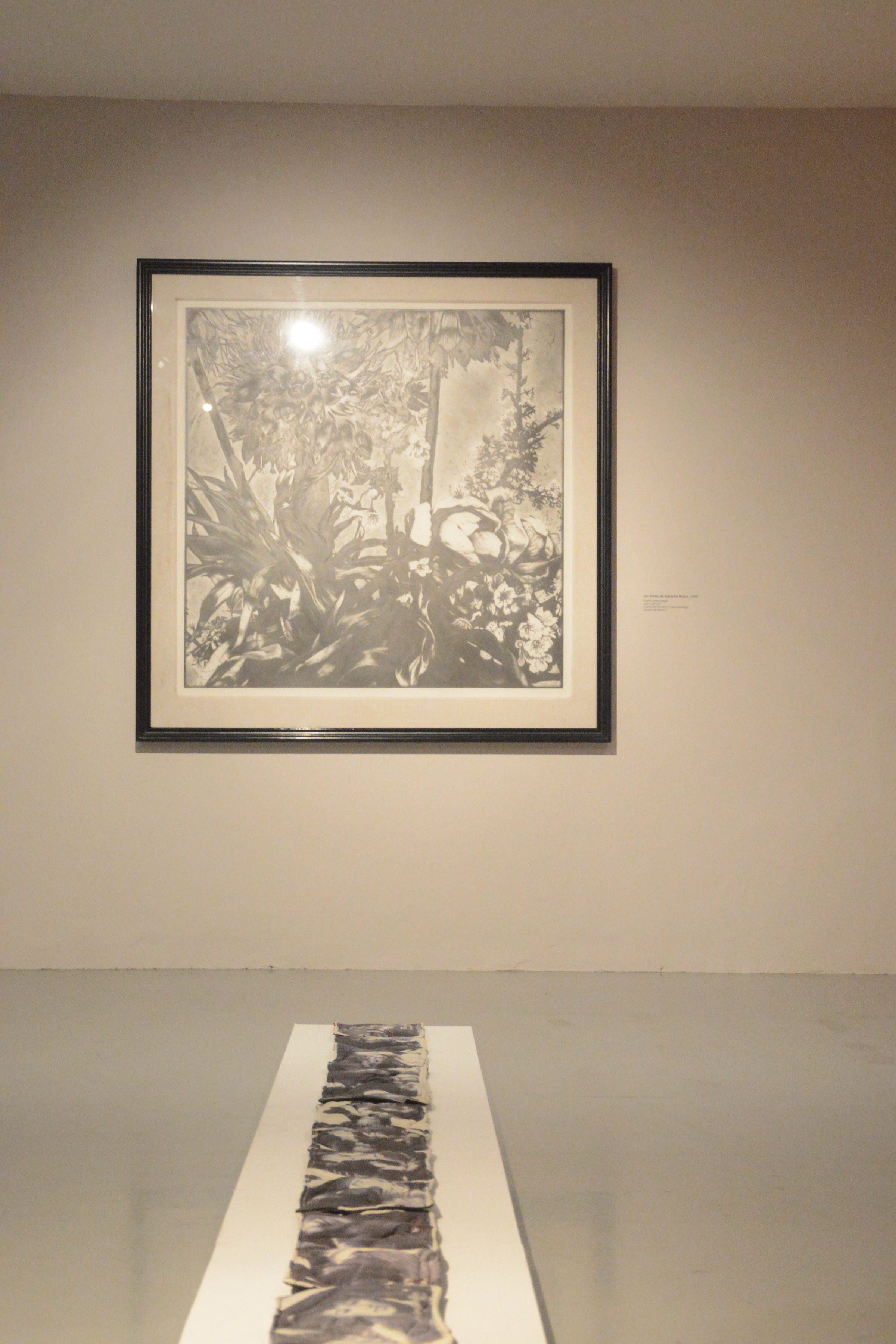 Bol. 770 Resguardo y resistencia de Carla Rippey, da cuenta de 40 años ...